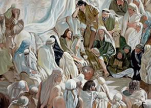 Steve Skipper Gallery